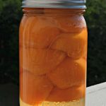 Canning Apricots